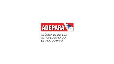 ADEPARÁ - PA inicia Processo Seletivo amanhã, 28, com 20 oportunidades